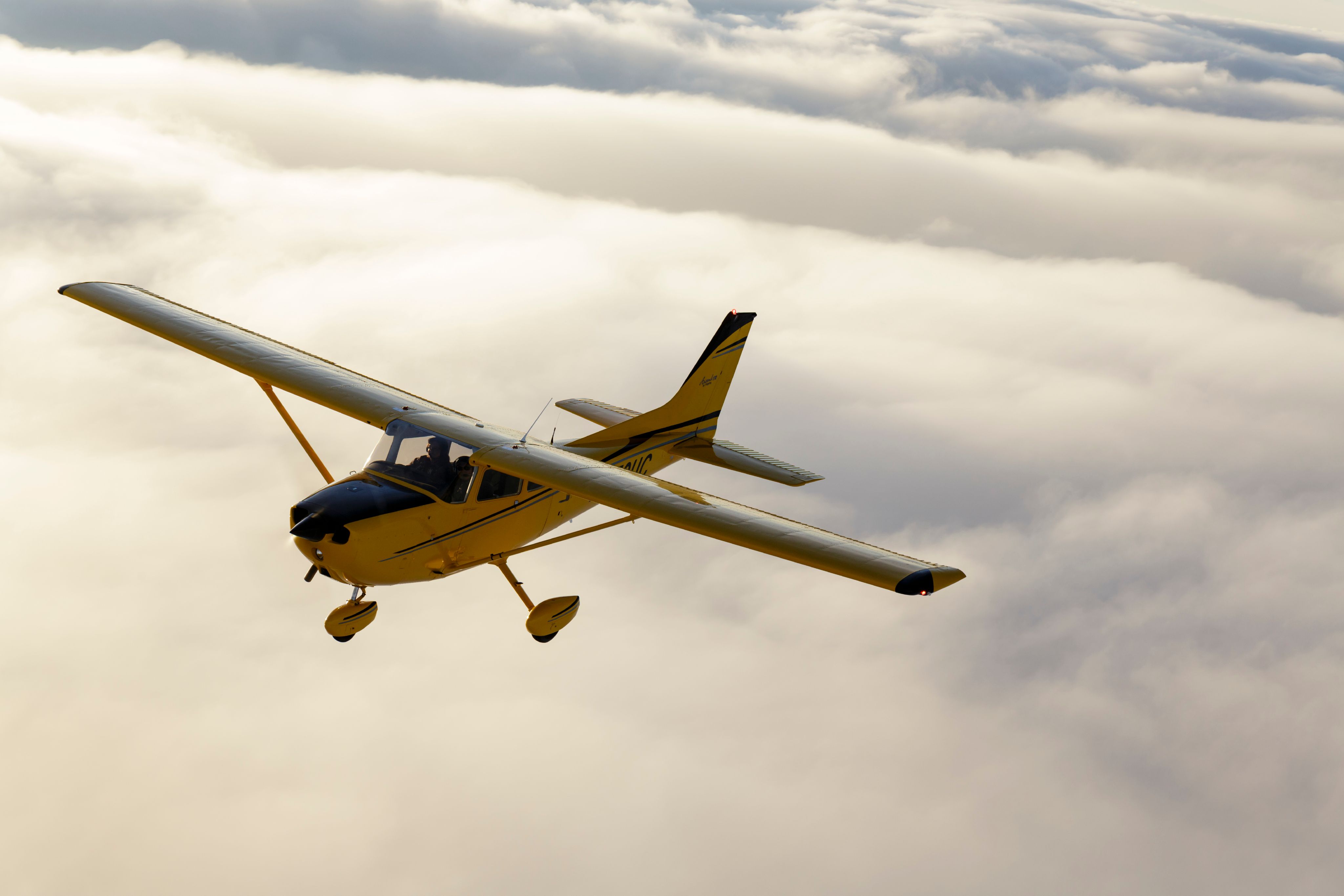 A Simple Little Molecule - Legal & Medical Services (PPS) | AOPA