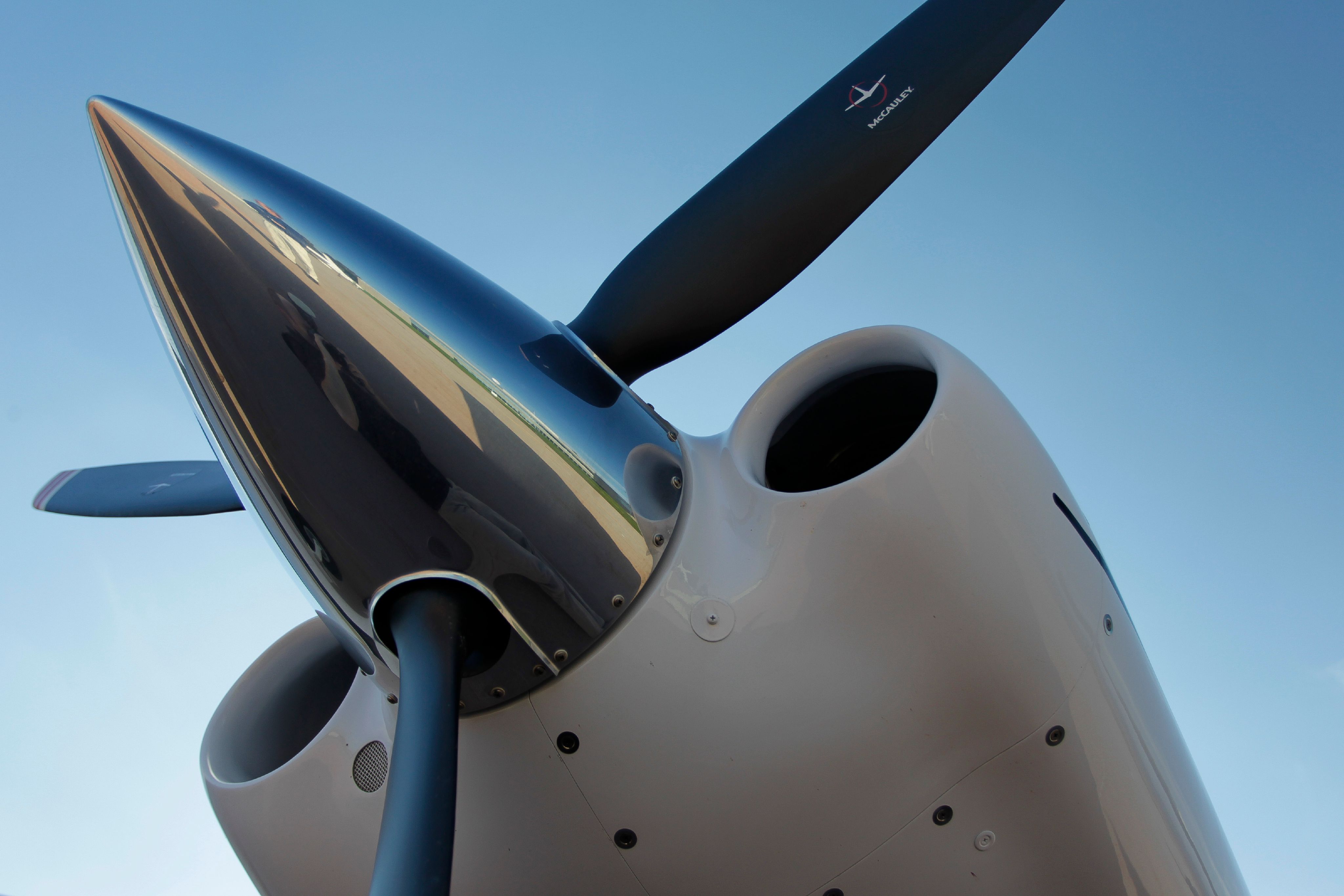 The Startle Reflex: Shaken, not Stirred - Legal & Medical Services (PPS ...