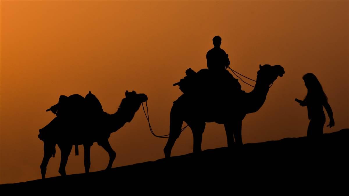 Camels and Airplanes - Legal & Medical Services (PPS) | AOPA