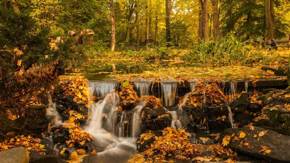 BasicMed Refresher - Legal & Medical Services (PPS) | AOPA