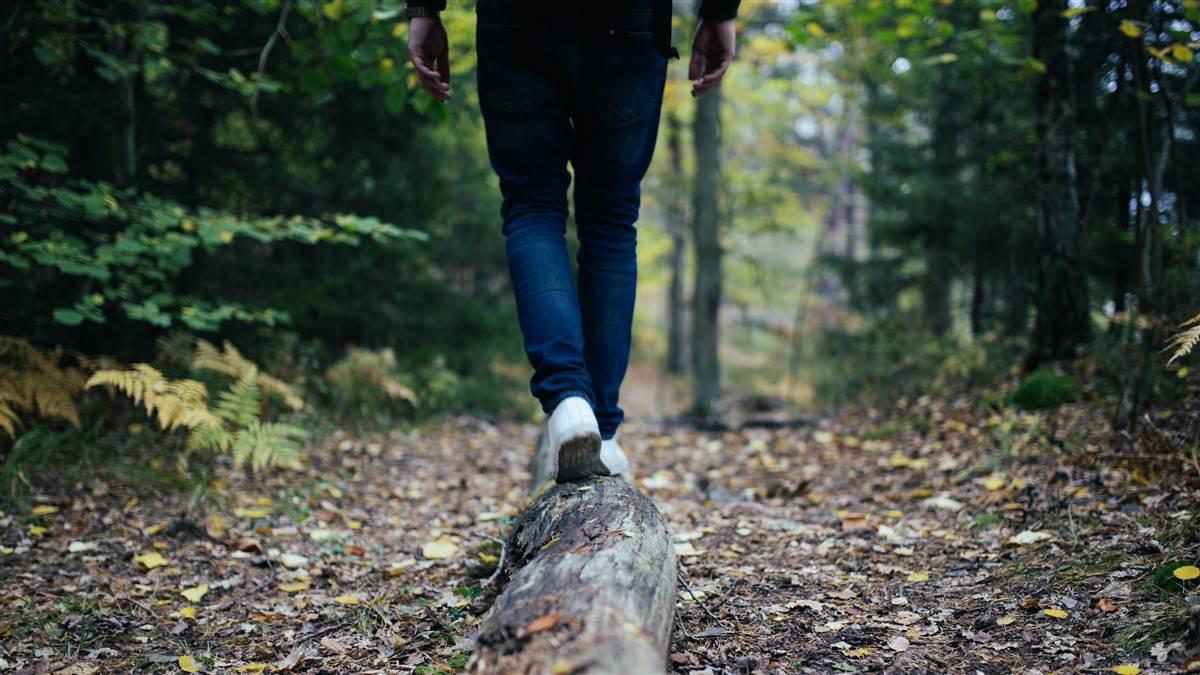 Advent Calendars and New Year's Resolutions - Legal & Medical Services ...